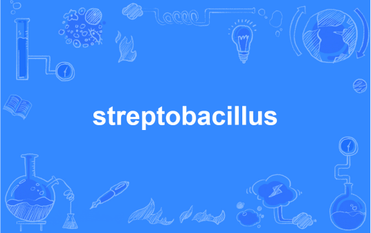 streptobacillus_百度百科