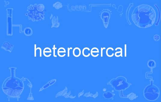 heterocercal_百度百科