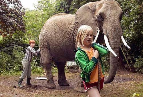 Knetter_百度百科