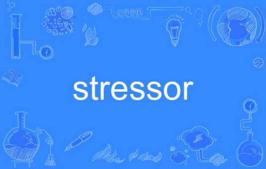 stressor_百度百科
