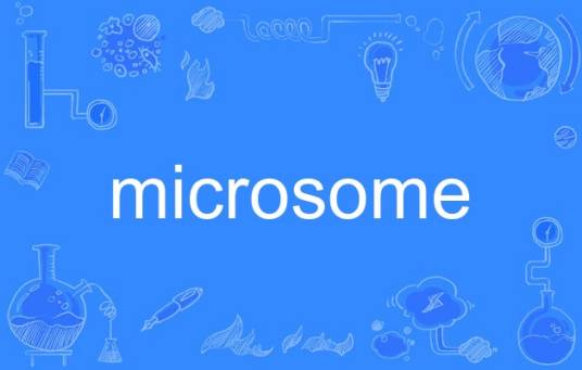 microsome_百度百科