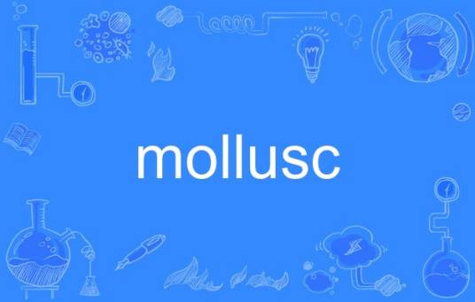 mollusc_百度百科