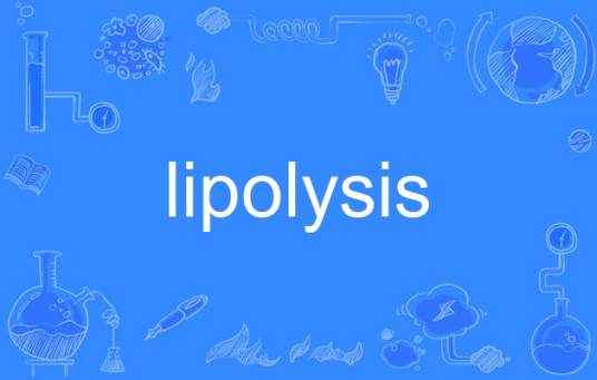 lipolysis_百度百科