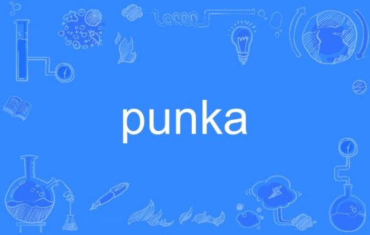 punka_百度百科