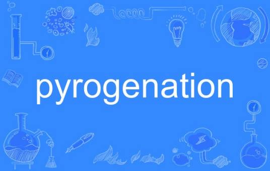 pyrogenation_百度百科