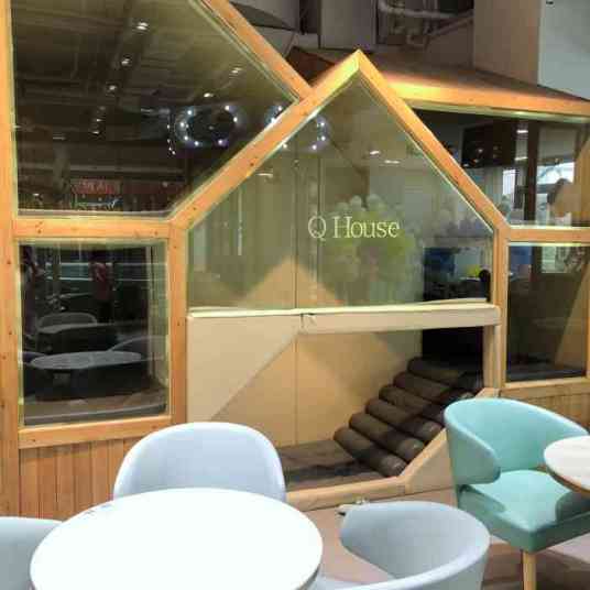 Q House_百度百科