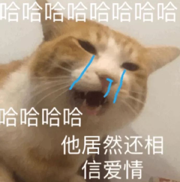 1398起 魅族Note9小白上手视频 首发骁龙675 红米刚「贵人贵司贵价格」_百科TA说