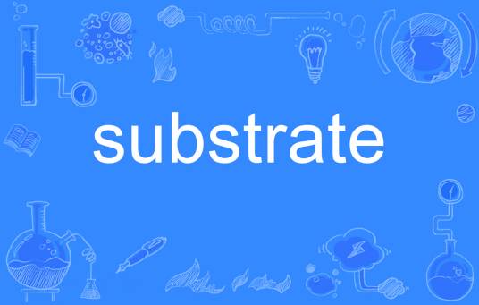 substrate（英语单词）_百度百科