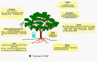 TnPM管理模式_百度百科