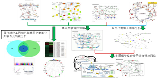多层组学整合 百度百科