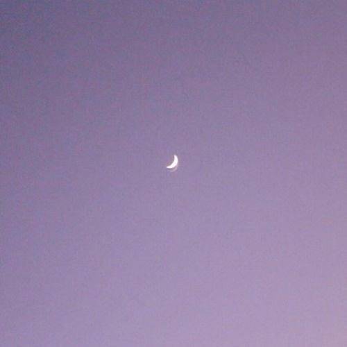 moonlight（mich演唱歌曲）_百度百科