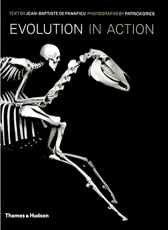 Evolution in Action_百度百科