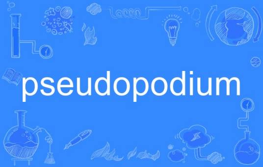 pseudopodium_百度百科