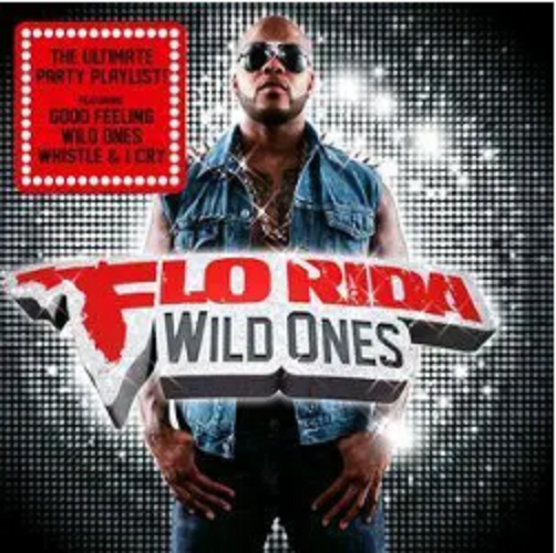 Let It Roll（Flo Rida演唱歌曲）_百度百科