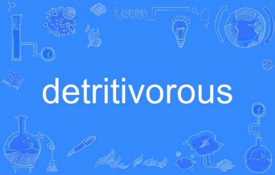 detritivorous_百度百科