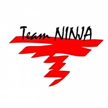 Team NINJA_百度百科
