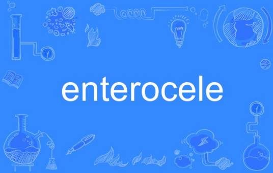 enterocele_百度百科