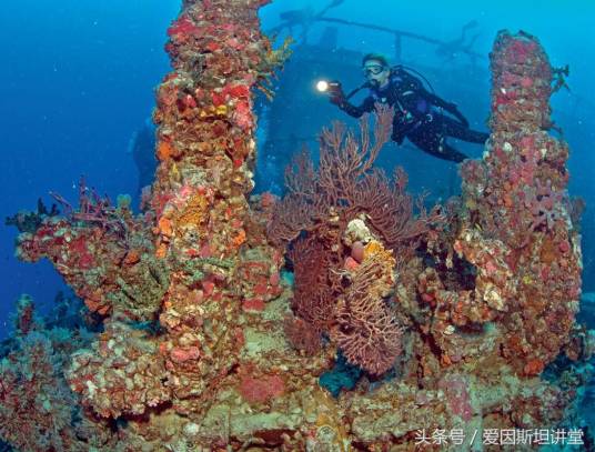 人造彩礁_百度百科