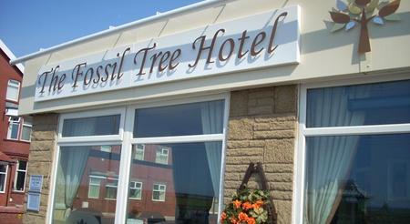 The Fossil Tree Hotel_百度百科
