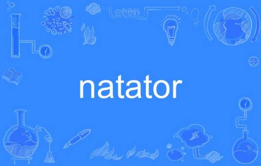 natator_百度百科