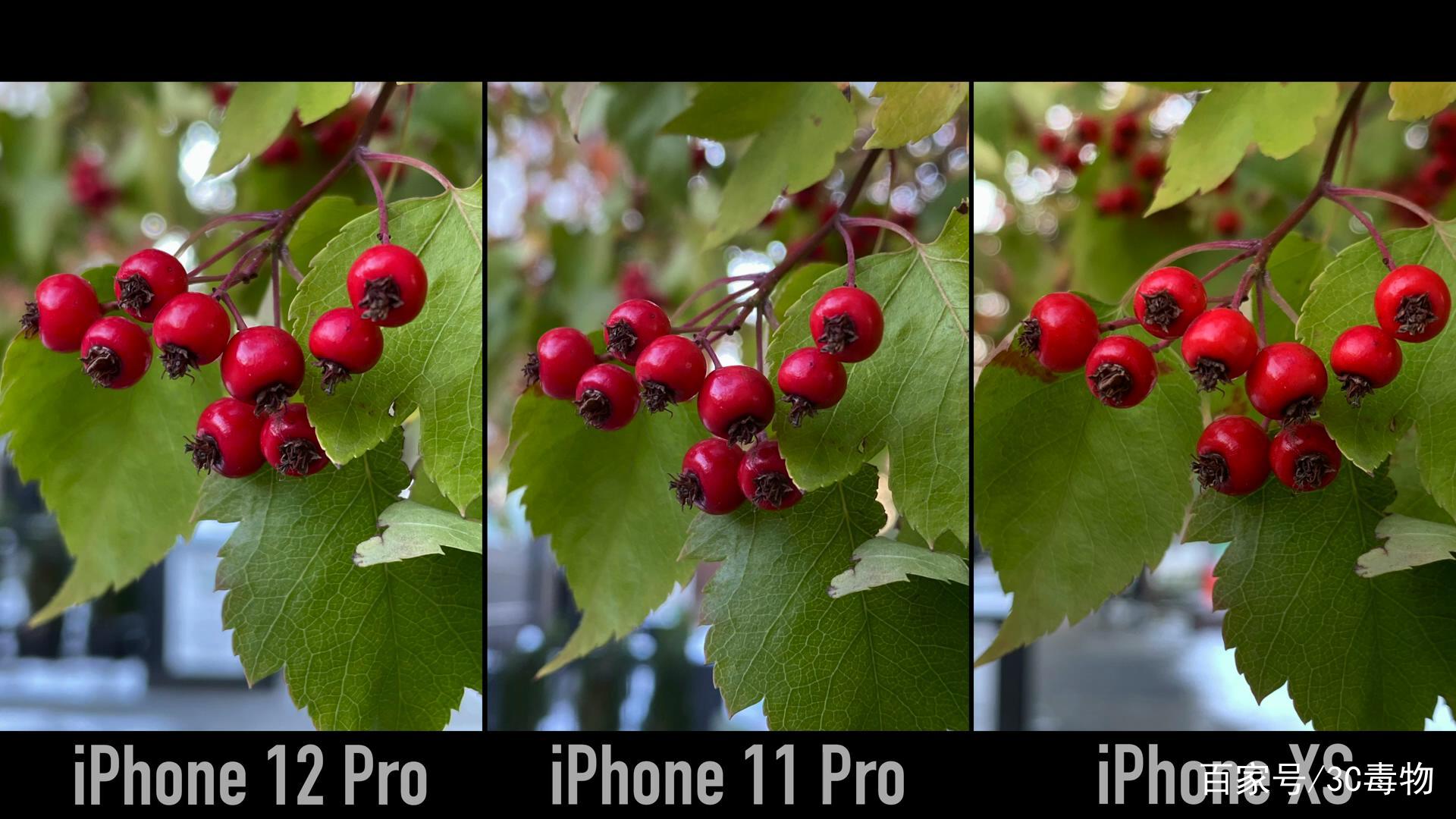 iPhone12Pro/11Pro/XS拍照对比：差距依然比想象的大_百科TA说