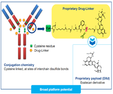喜树碱老兵新传：PD-1抑制剂神助攻_百科TA说