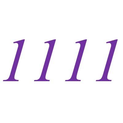 1111（四位数的光棍数、回文数、合数）_百度百科