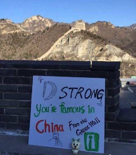 D-STRONG_百度百科