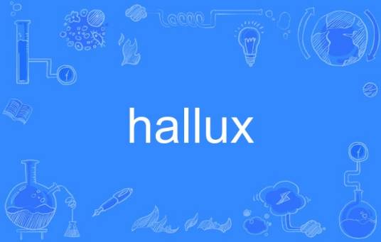 hallux_百度百科