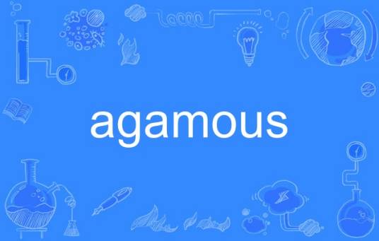 agamous_百度百科