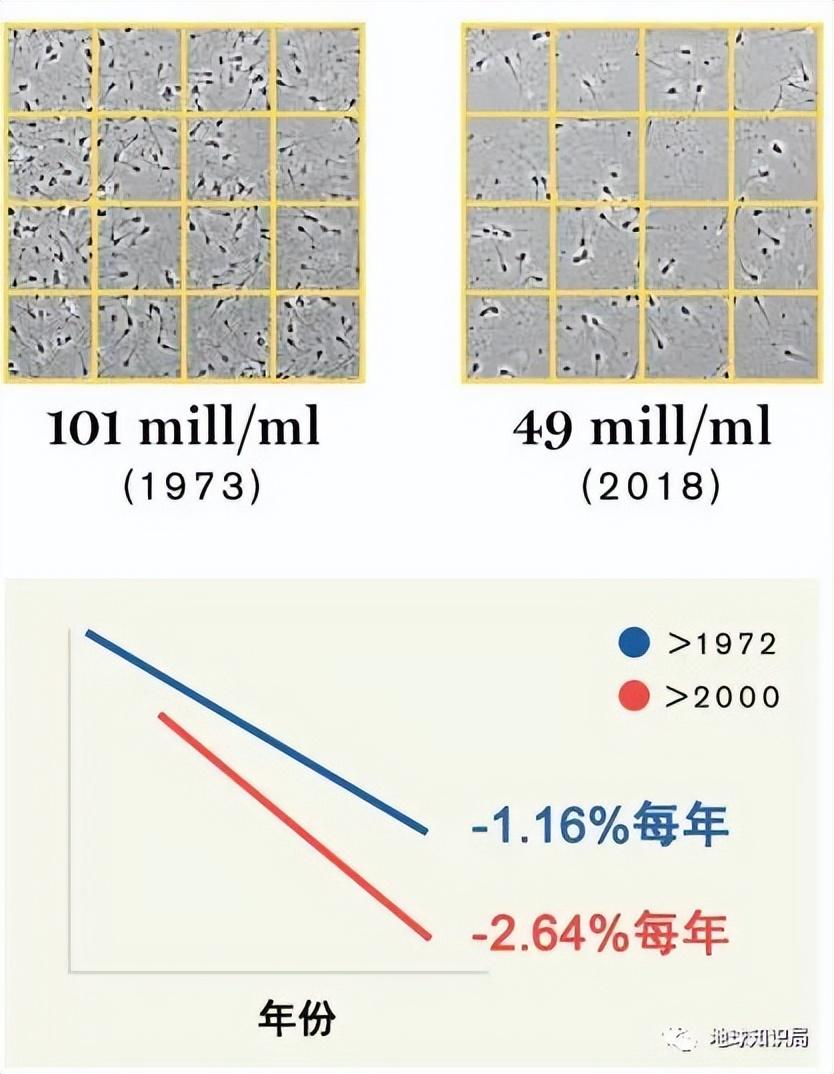 男人精子数量，断崖式下降！ 地球知识局百科ta说