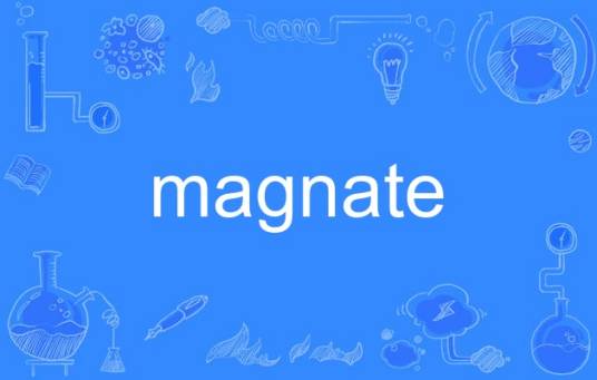 magnate_百度百科