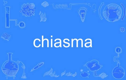 chiasma_百度百科