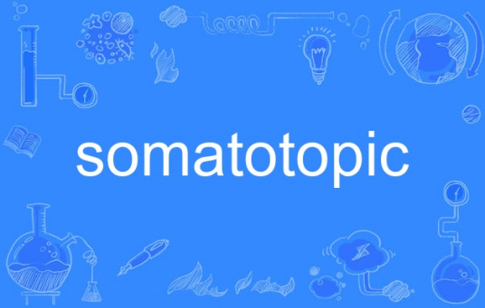somatotopic_百度百科
