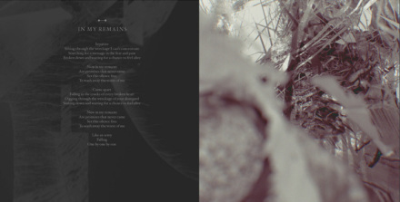 Living Things_百度百科