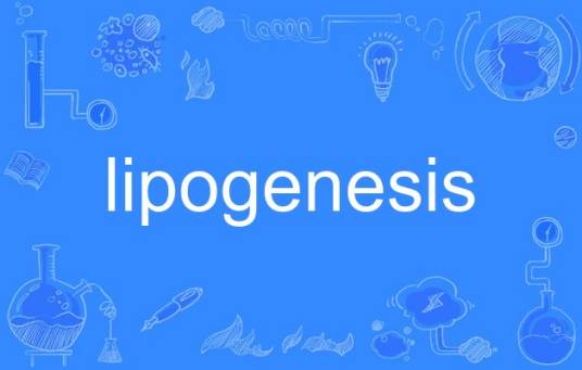 lipogenesis_百度百科