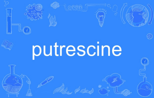 putrescine_百度百科