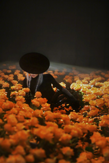 TOOOOO BUSY（2024王霏霏演唱的流行歌曲）_百度百科