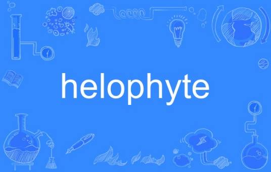 helophyte_百度百科
