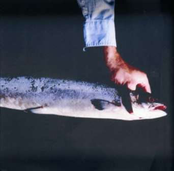 Nigel Rolfe_百度百科