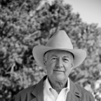 不速之客（美国2014年亚当·温加德执导的电影）_百度百科