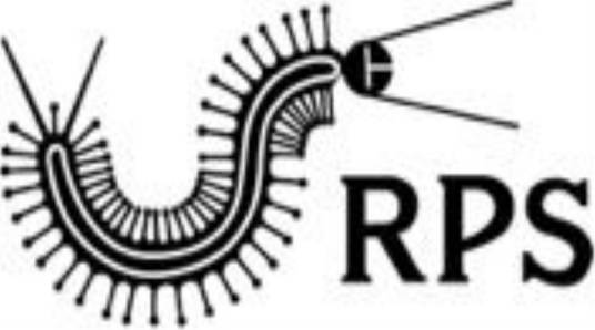 RPS（品牌）_百度百科