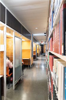 戴尔豪斯大学_百度百科