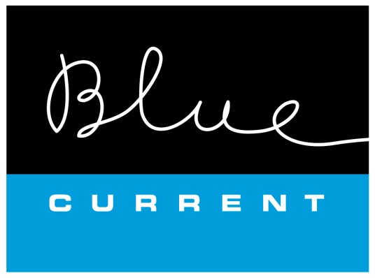 BlueCurrent Group_百度百科