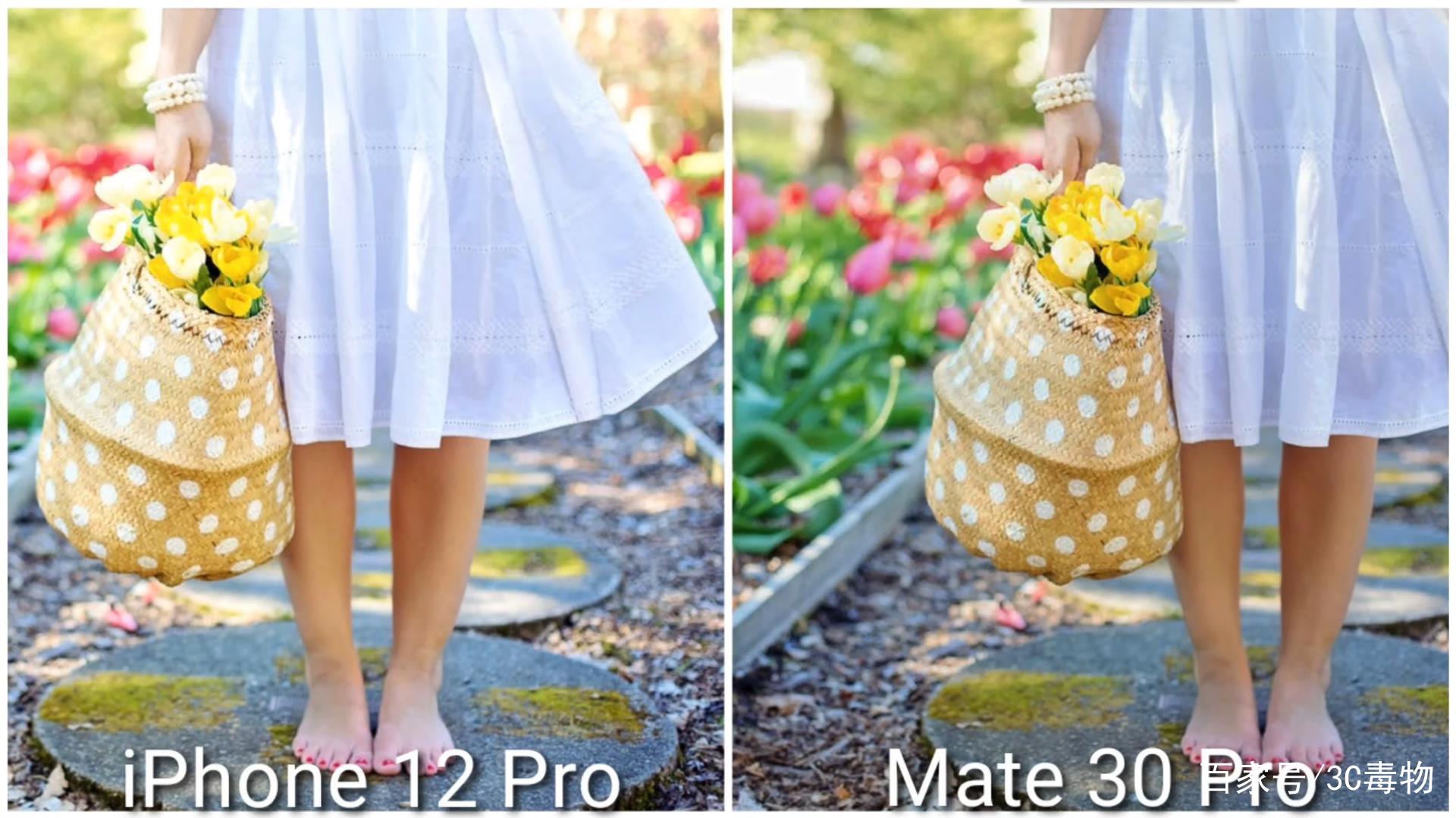 iPhone12Pro和华为Mate30Pro拍照对比：这差距比想象得要大_百科TA说