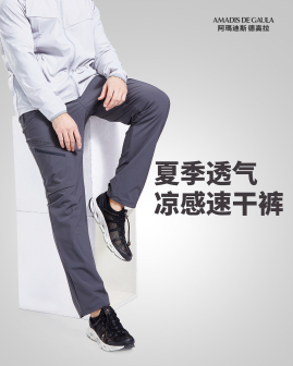 阿玛迪斯 AMADIS_百度百科