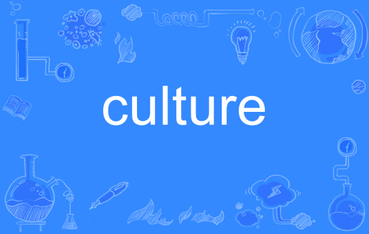 culture（英语单词）_百度百科