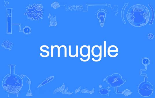 Smuggle_百度百科