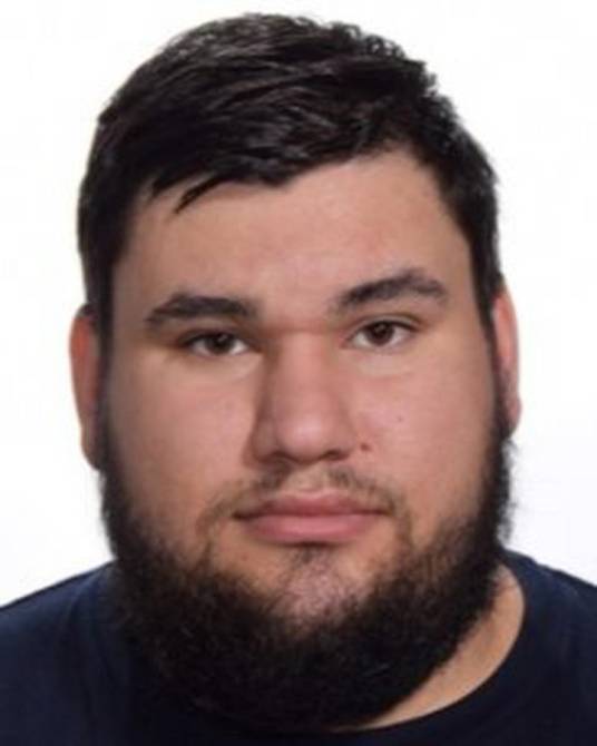 SIMIONESCU Vladut_百度百科