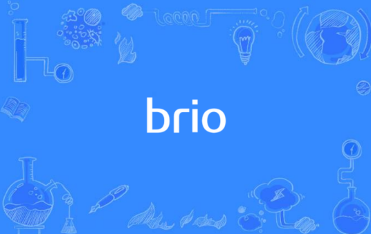 brio（决策支持平台）_百度百科
